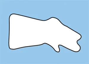 North Coast Clamdigger Metacarpal Precut Fracture Splint Preferred® 1 ...