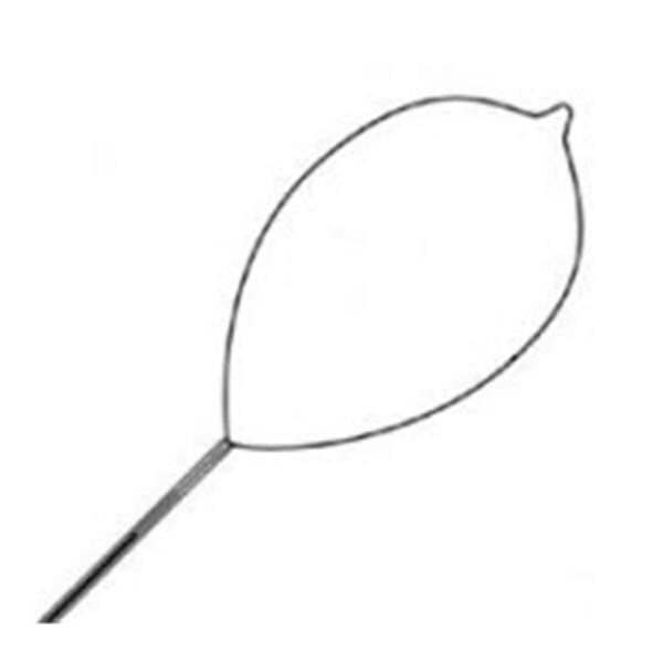 Conmed Corporation Snare Polypectomy Singular Soft Loop Wire Oval Medi ...