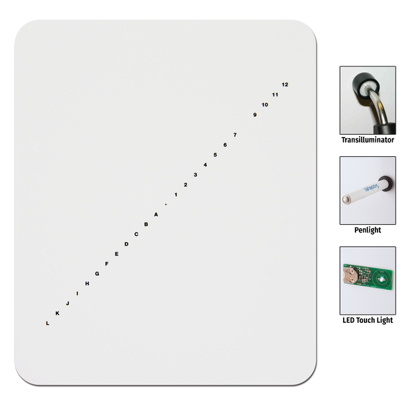 ADULT THORINGTON CARD – Medute