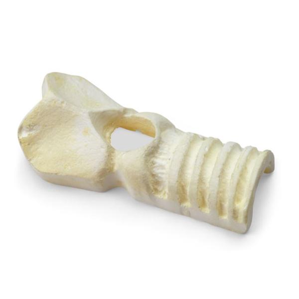 Nasco Healthcare, Inc Trachea Replacement Adult Each - 101-137 – Medute