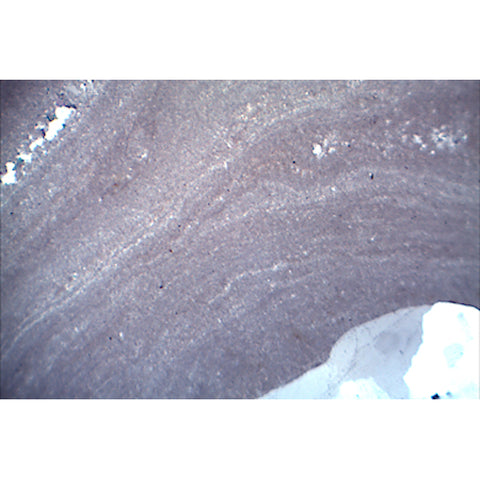 Thin Sections, Fossils and Meteorites – Medute